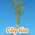 Sóc Nhí - Bác học nhí